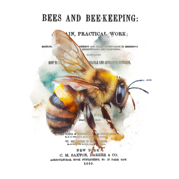 BEES AND BEEKEEPING - White Cloud Decor Transfers
