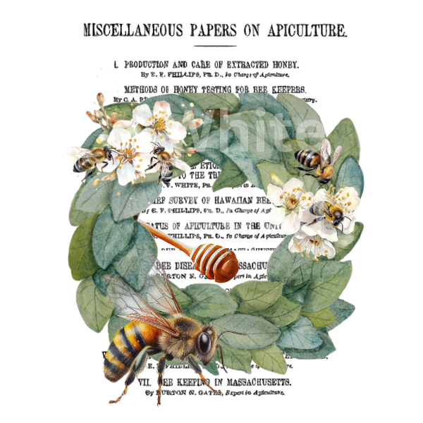 APICULTURE - White Cloud Decor Transfers
