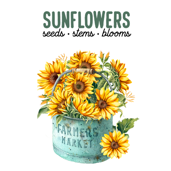 RUSTIC SUNFLOWERS - White Cloud Decor Transfers