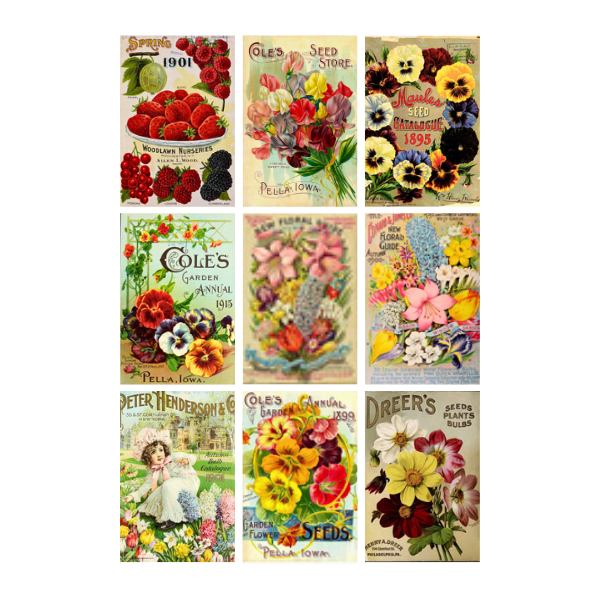 SEED PACKETS 2 - White Cloud Decor Transfers